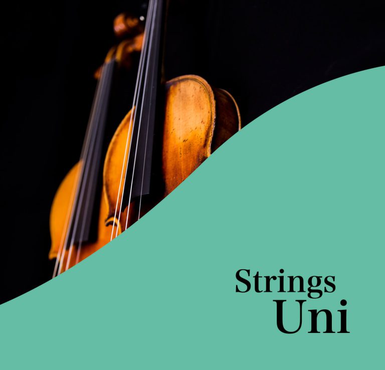 Strings Uni | Strings Factory