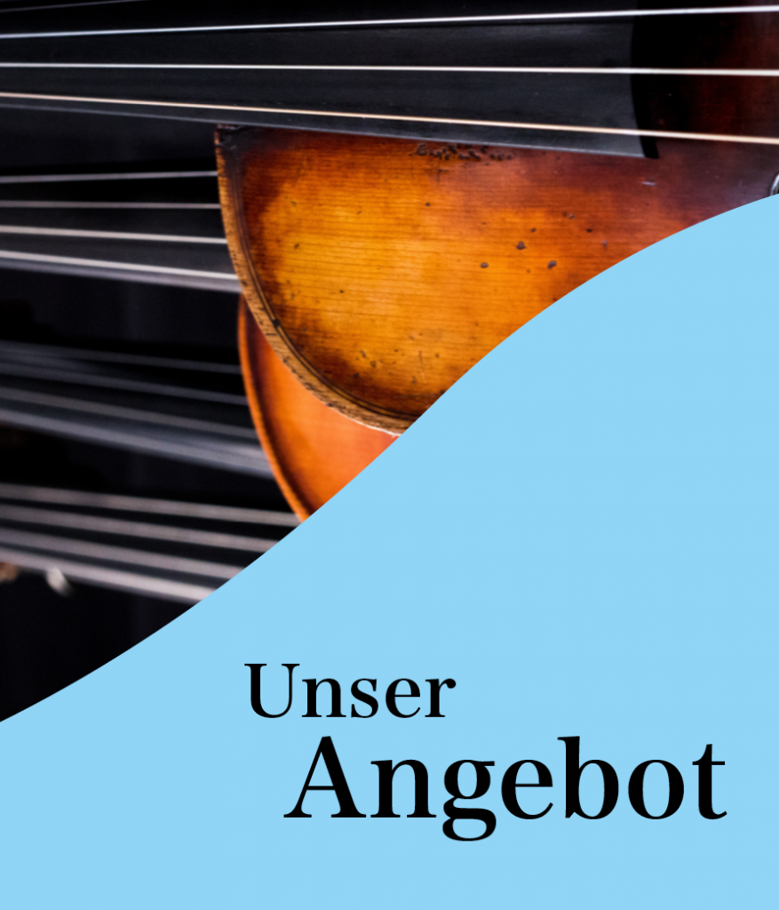 Unser Angebot | Strings Factory